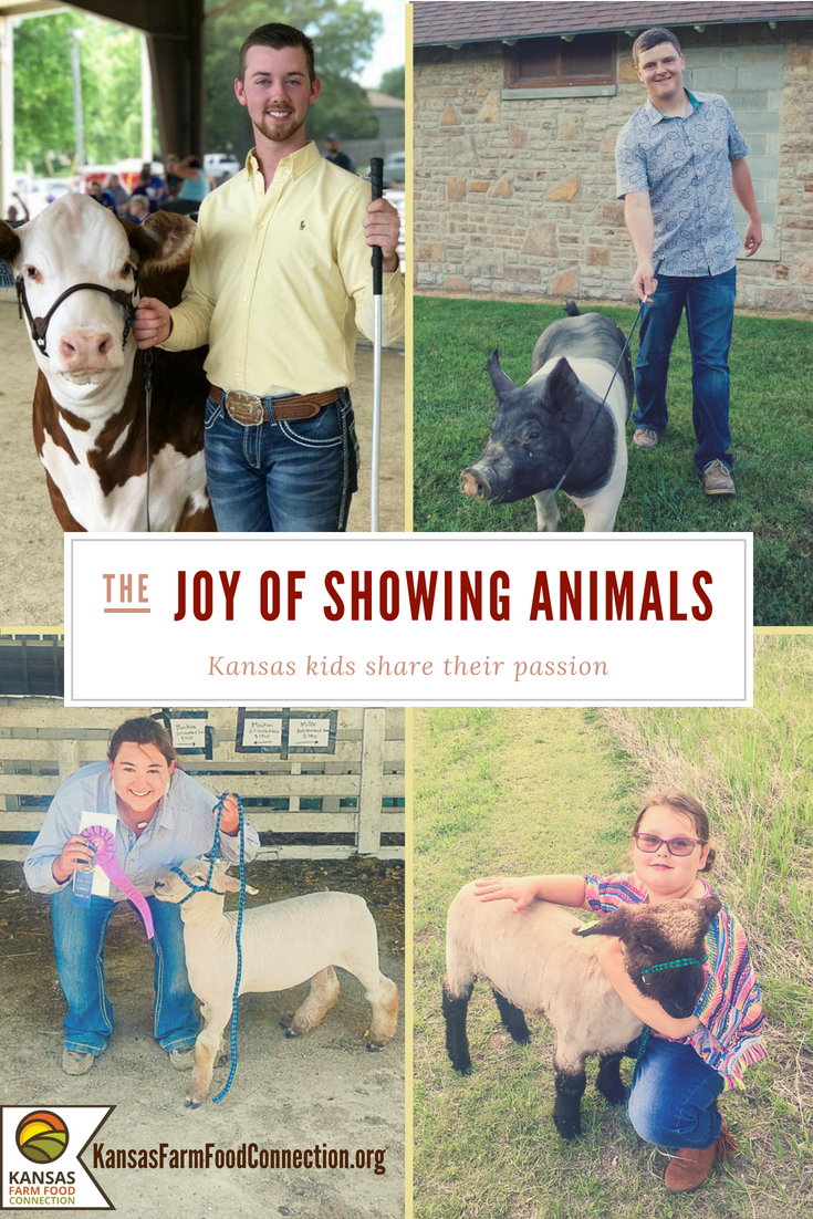 Why Do Kids Show Farm Animals at the Fair? | Kansas Farm Food