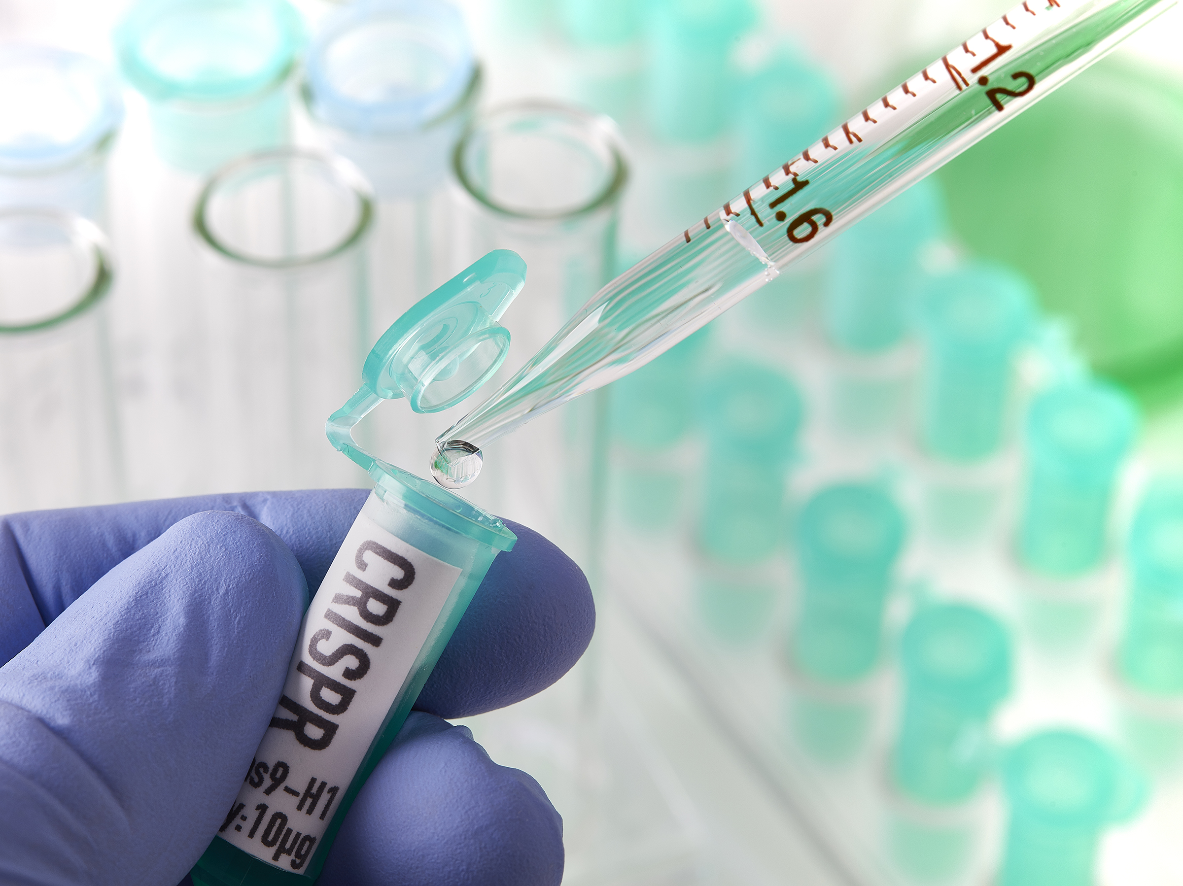 Five FAQs About Gene Editing in Agriculture | Kansas Farm Food