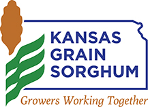 Kansas Grain Sorghum | Kansas Farm Food