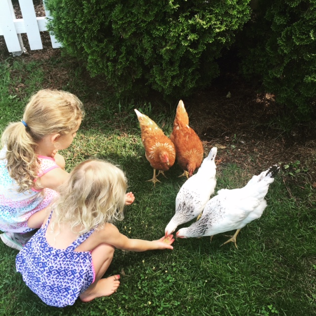 Fun for Kids: Get to Know a Farm | Kansas Farm Food