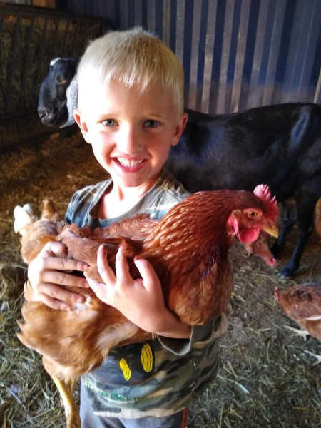 Veteran-Owned Route Step Farm Marches to the Beat of Own Drum | Kansas ...