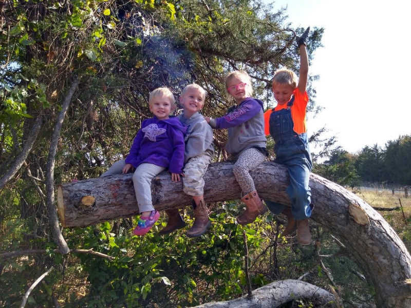 Veteran-Owned Route Step Farm Marches to the Beat of Own Drum | Kansas ...