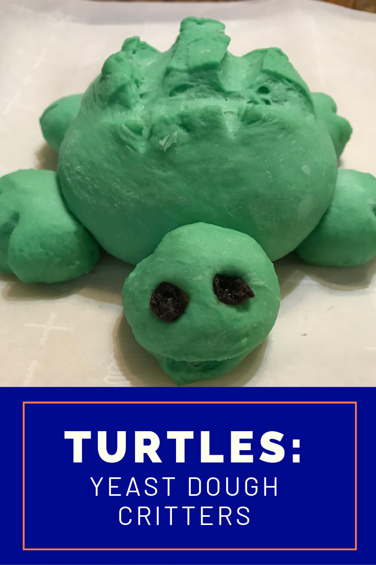 Make Your Own Yeast Dough Critters: Turtles | Kansas Farm Food