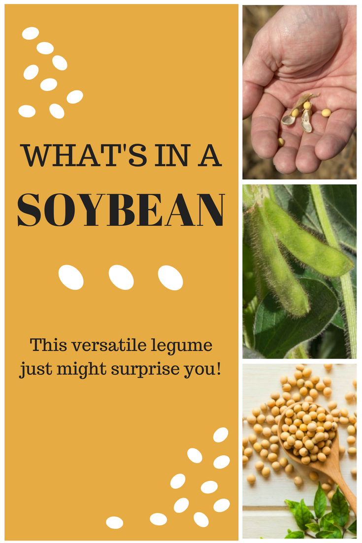 What’s in a Soybean? | Kansas Farm Food